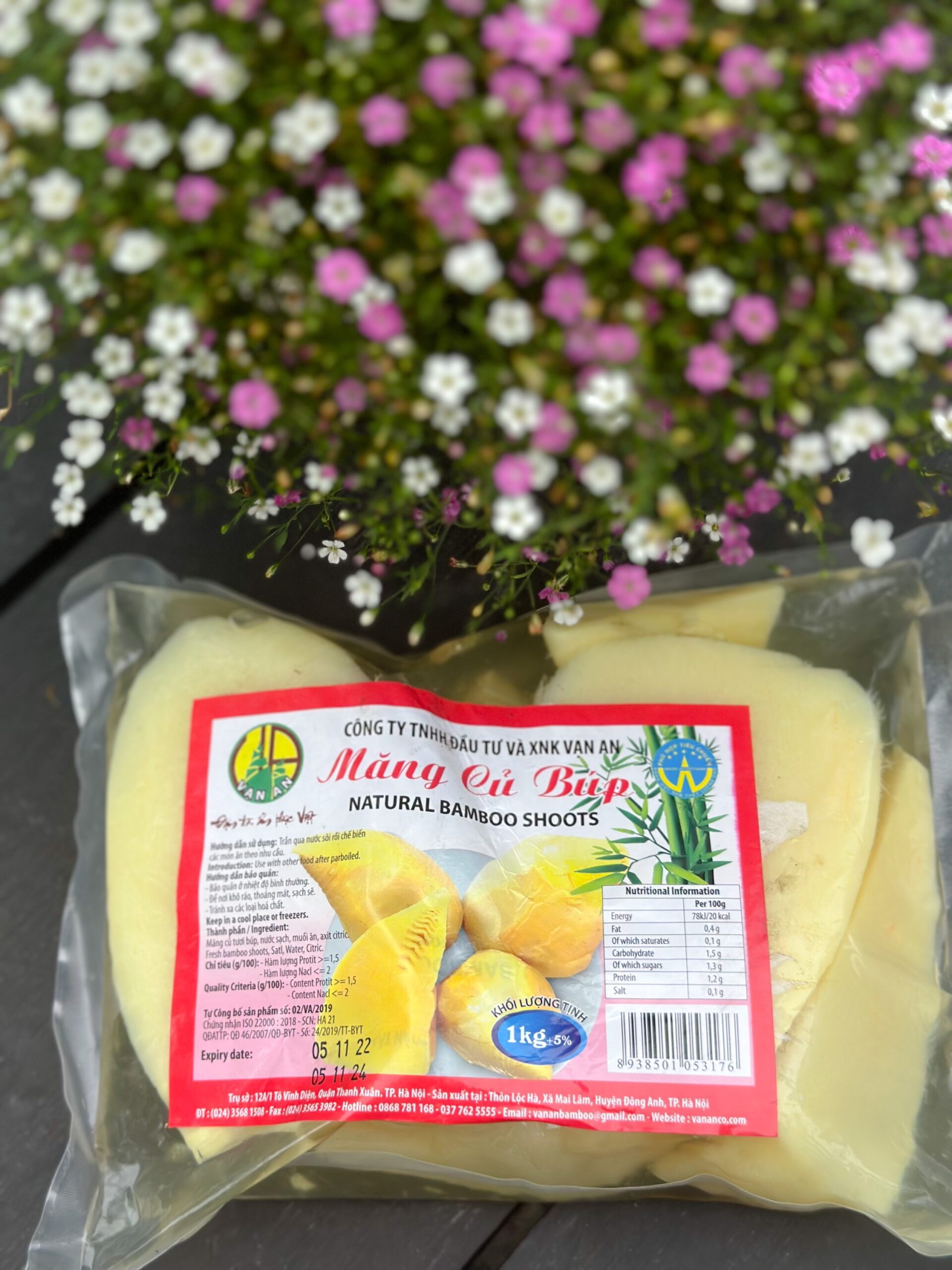 Mang Cu – VietNam Corner